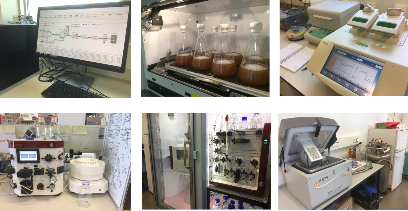 Techniques and facilities – Nynke Dekker Lab